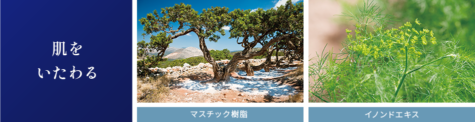 くすみによる老け見え・疲れた印象を防いで健康的な若々しい印象へ